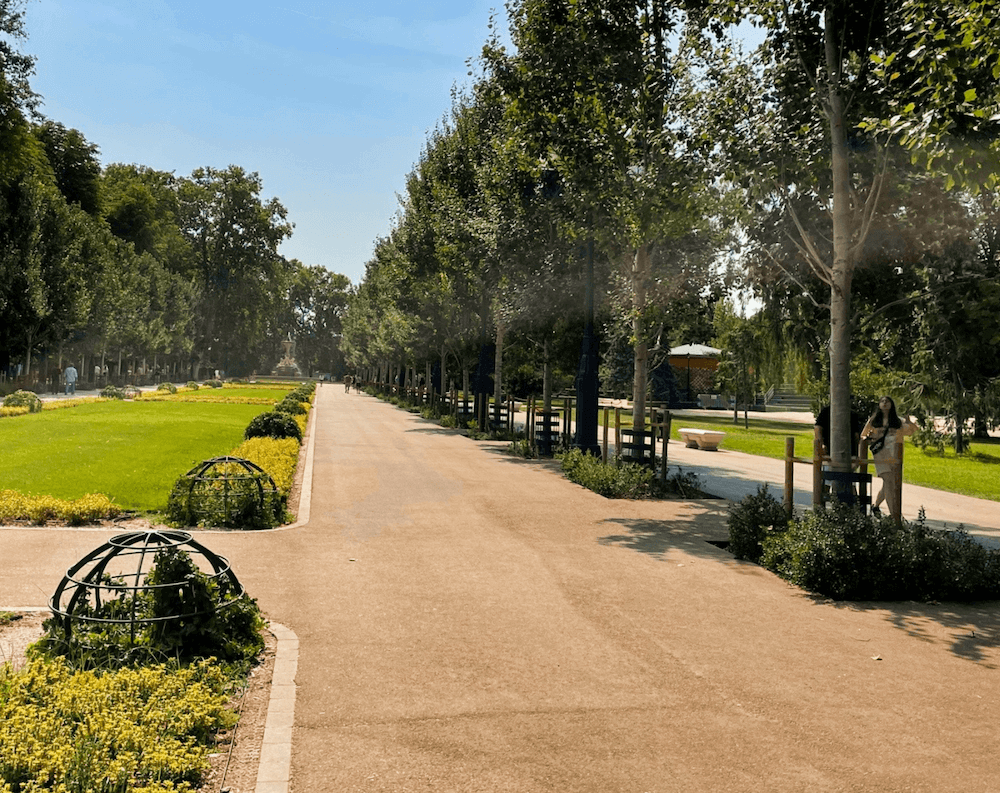 TreeParker® Rootmanagement