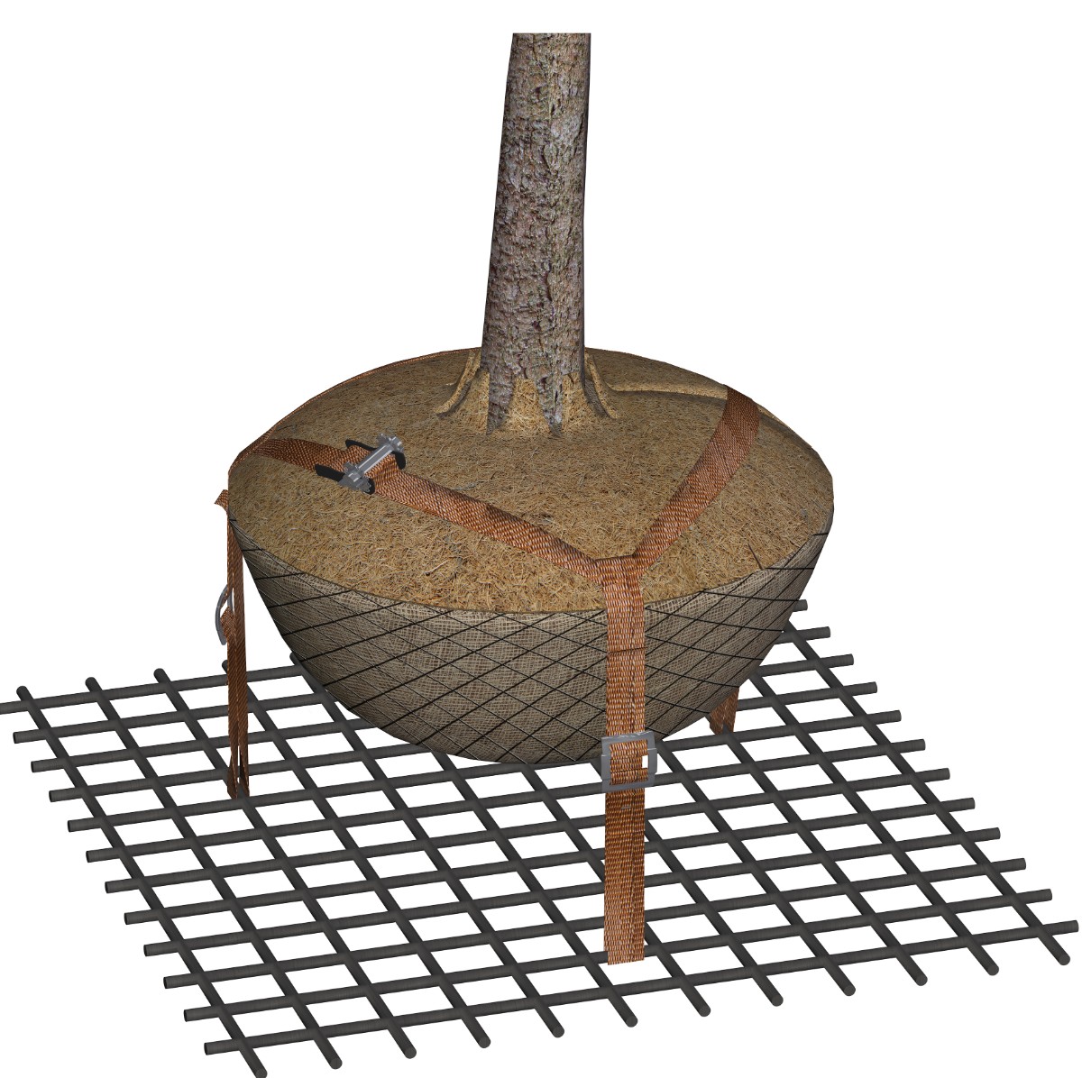 Treelock Tree Anchorage