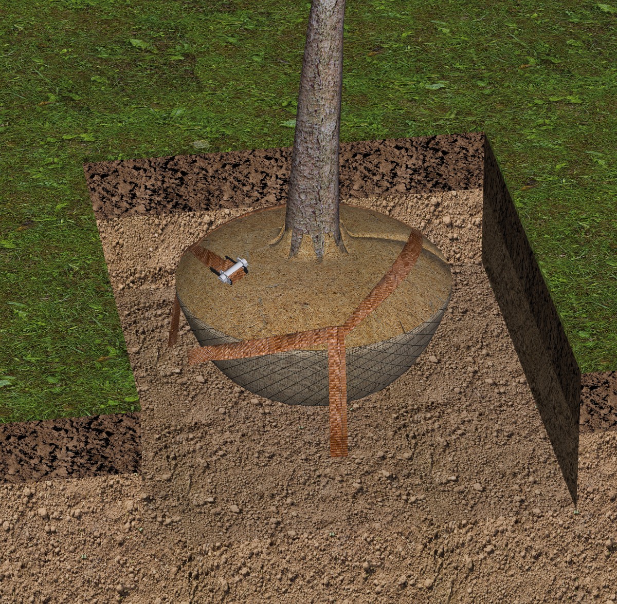 Treelock Tree Anchorage