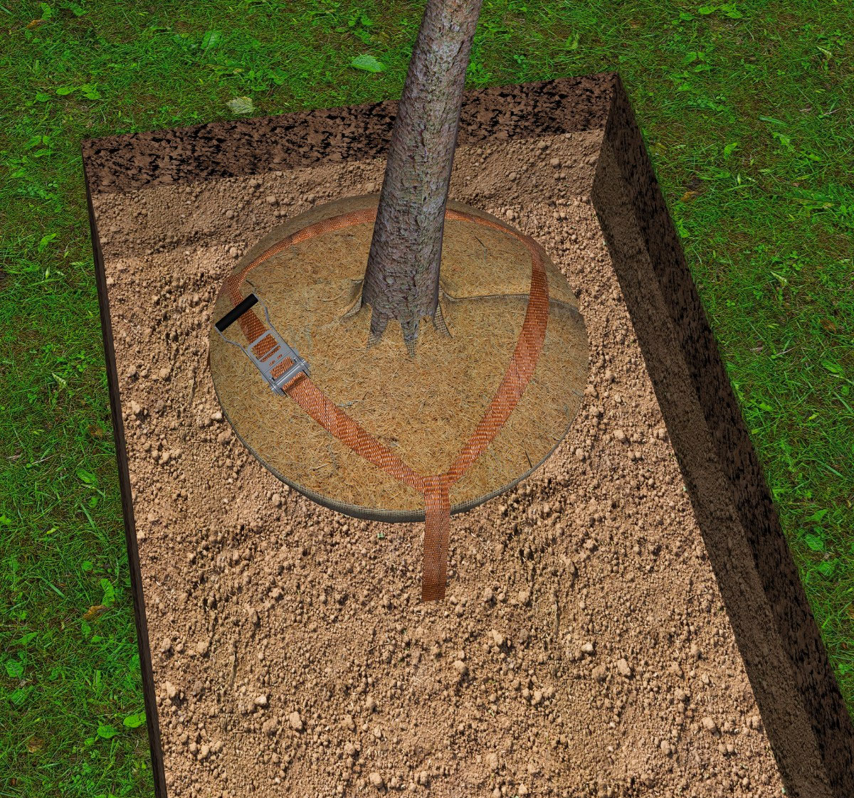 Treelock Tree Anchorage